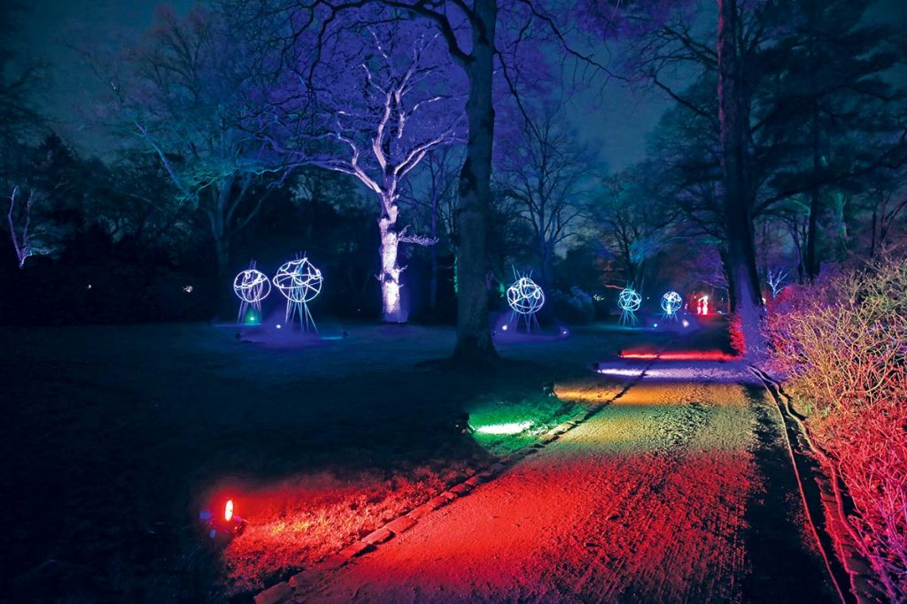 LightUp! 2025 - Licht, Kunst & Magie